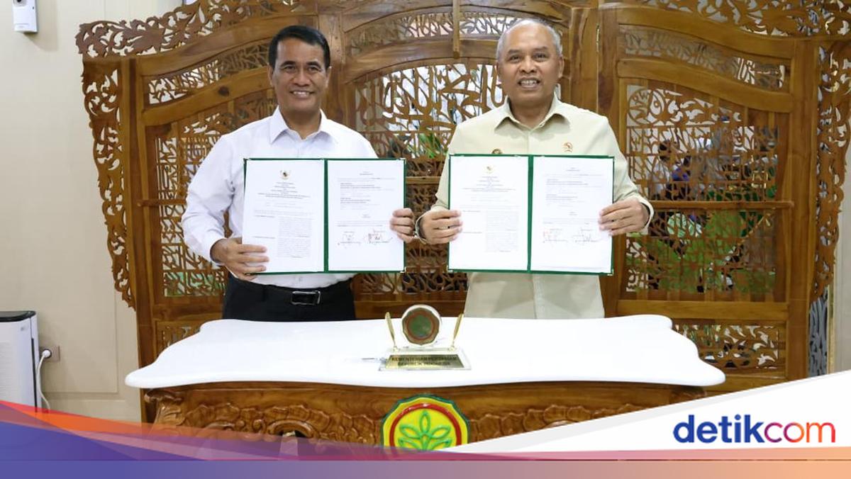Kementan Gandeng BSSN Perkuat Keamanan Sistem Digital Pertanian Nasional