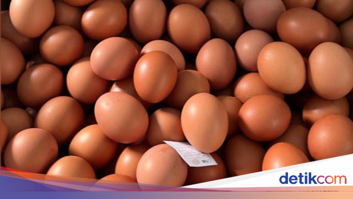 Harga Telur di Pangandaran Naik, Dipicu Permintaan Dapur MBG
