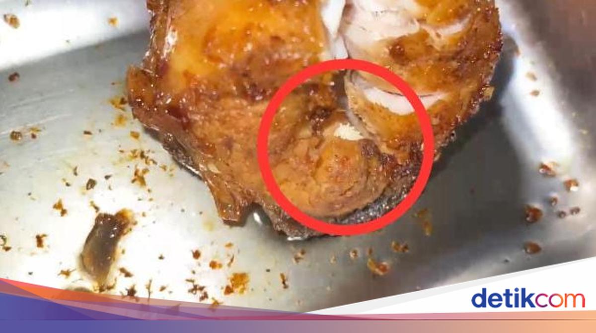 Heboh Belatung di Menu MBG SMA Telaga Gorontalo