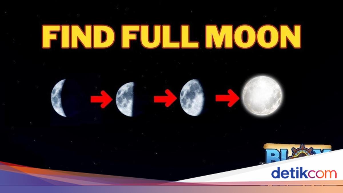 Penggemar Roblox Merapat, Begini Cara Dapetin Full Moon di Blox Fruits