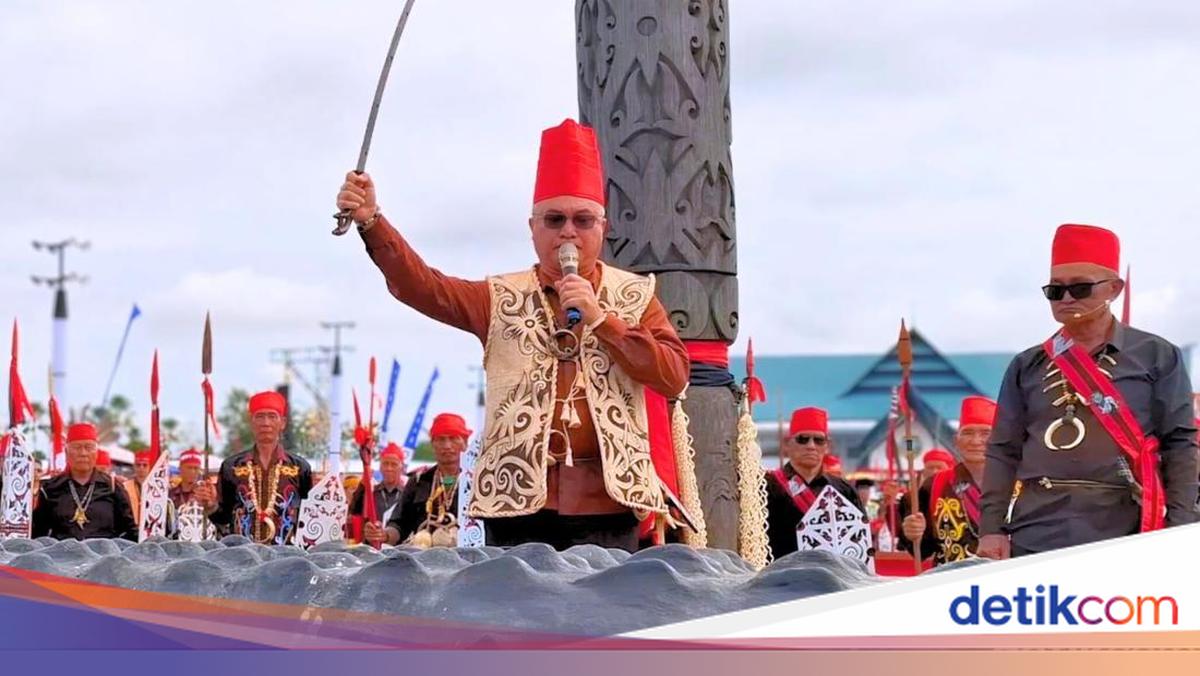 Bupati Malinau Dinobatkan Jadi 'Radcha Bawang', Pemimpin Adat Dayak ...