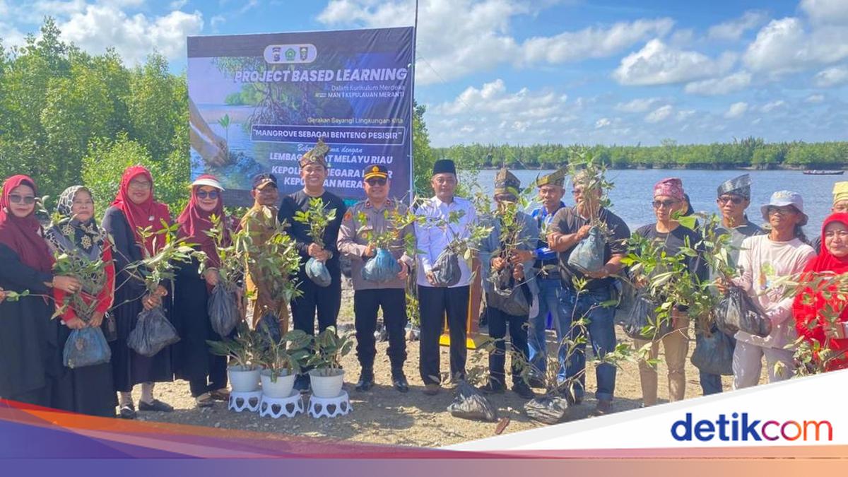 Selamatkan Pulau Meranti dari Abrasi, Siswa MAN Tanam Ribuan Mangrove