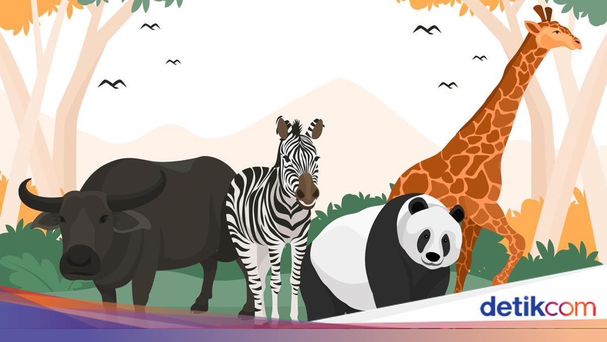 Garis Wallace dan Garis Weber: Pengertian, Wilayah, dan Persebaran Faunanya