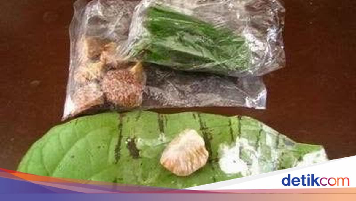 Mengapa Orang NTT Suka Mengunyah Sirih Pinang? Ini Faktanya