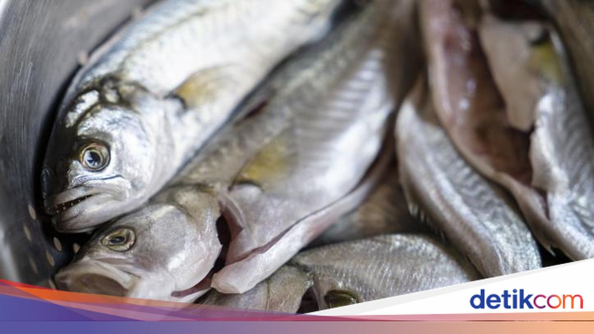Jangan Asal Getok! Chef Ungkap Cara Mematikan Ikan Agar Halal