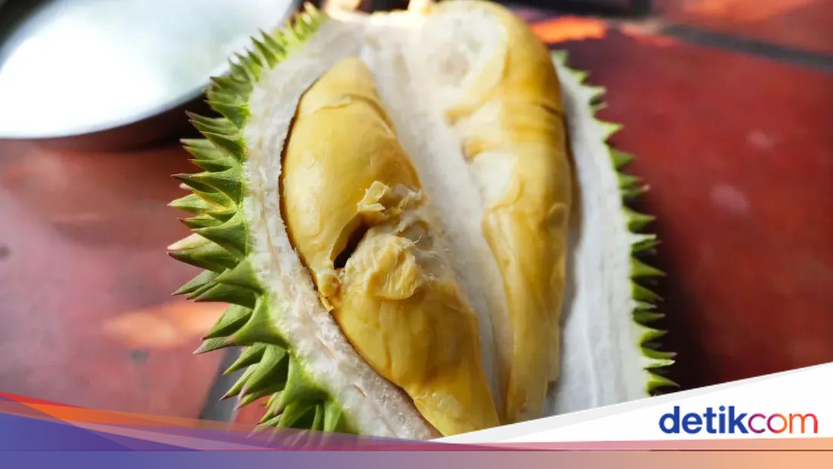 10 Durian Terbaik dengan Tekstur Creamy dan Rasa Unik, Ada dari Indonesia?