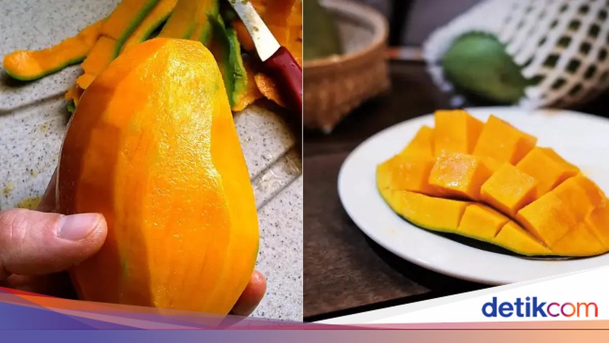 5 Fakta Mangga Harumanis 'Khusus' yang Hanya Ditemukan di Perlis