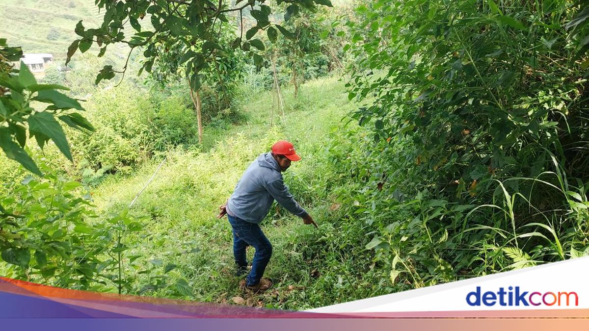 Pilu ABG Ditemukan Nyaris Bugil-Tak Sadarkan Diri di Semak Belukar KBB