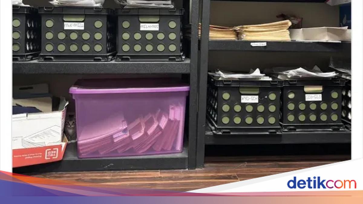 Dapatkah Kamu Menemukan Kumpulan Kucing Jadi Ninja Berikut Ini?
