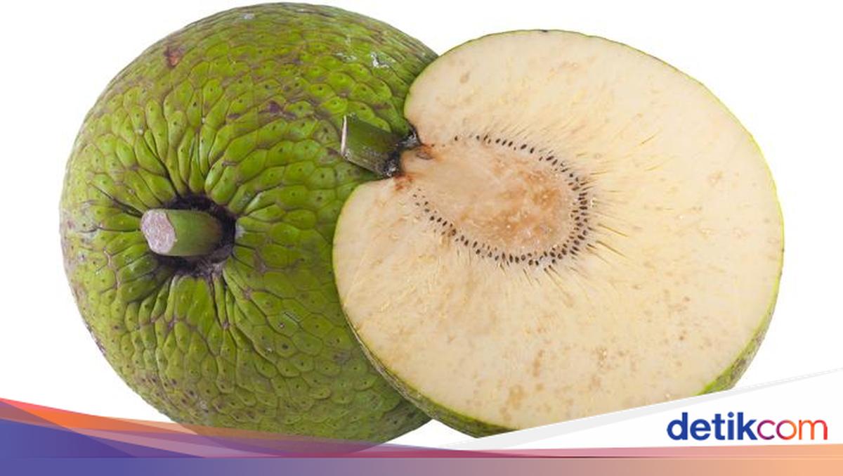 5 Fakta Sukun, Buah Tropis Indonesia yang Jadi Incaran di Eropa