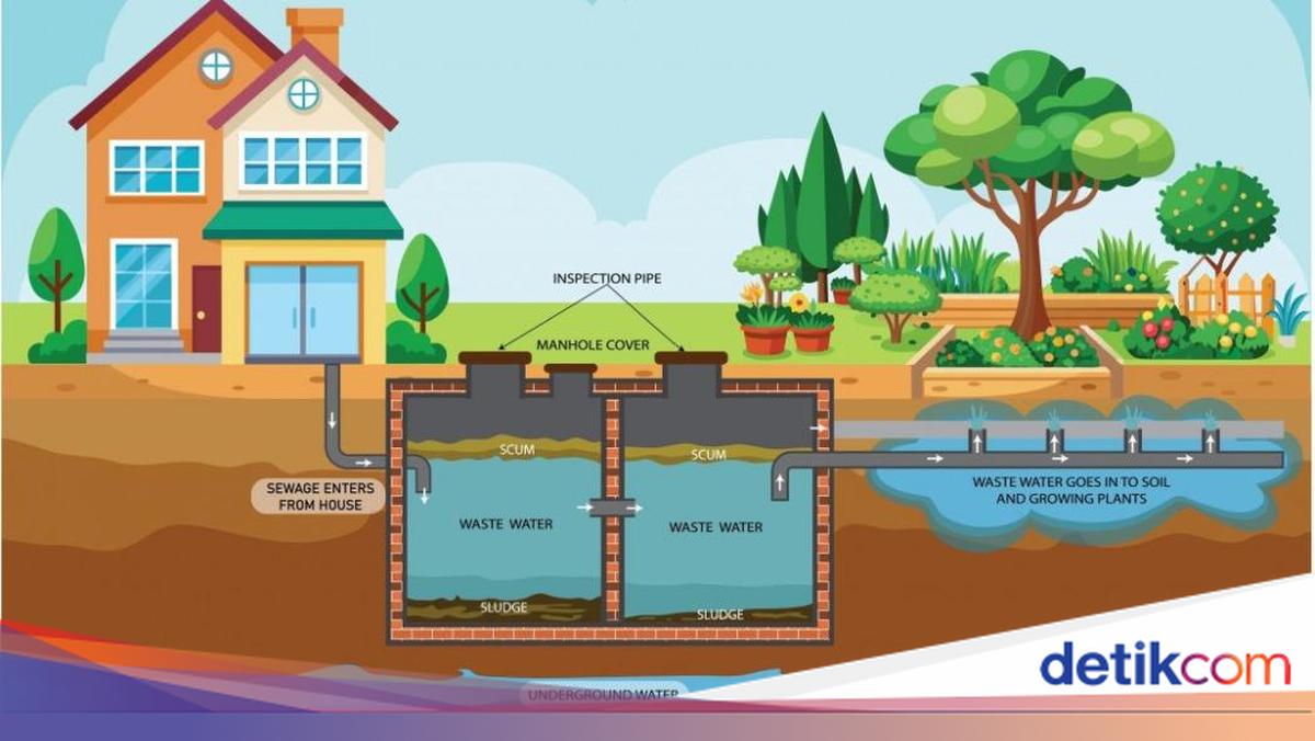 Diam-diam Mengancam Rumah! Kerusakan Septic Tank Bisa Picu Pencemaran