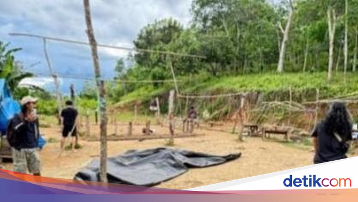 Polisi Gerebek Arena Judi Sabung Ayam di Bulukumba, 2 Orang Ditangkap