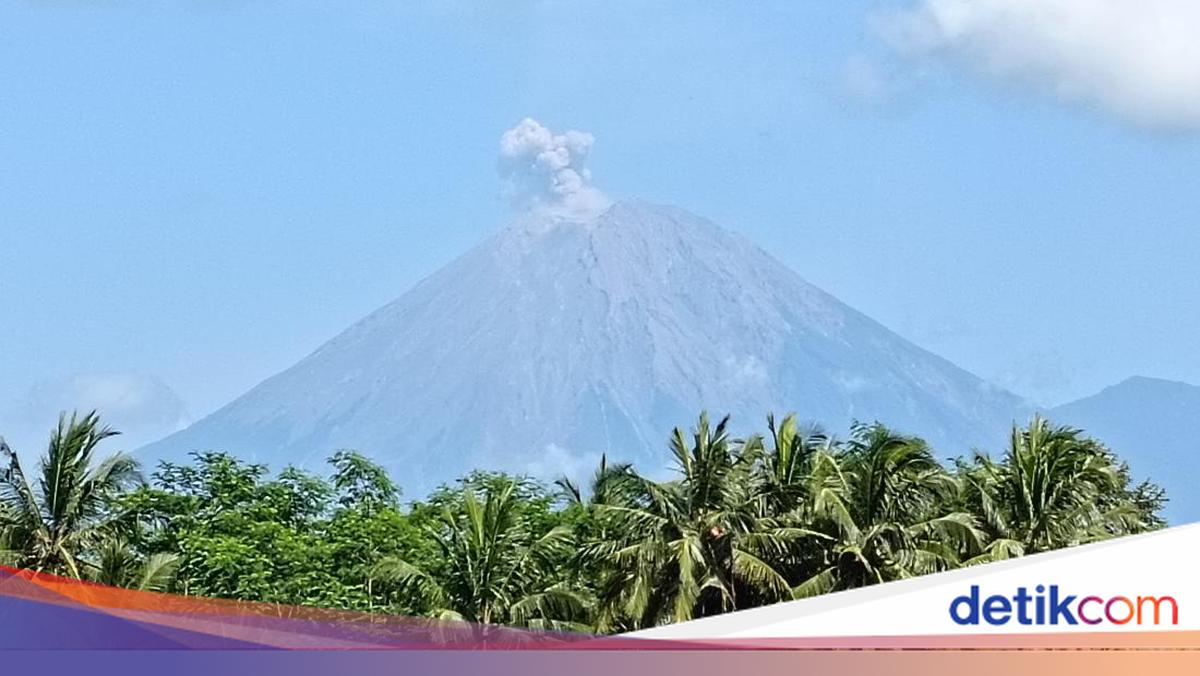 Semeru Erupsi 124 Kali dalam 24 Jam, Warga Diminta Menjauh 8 Km dari Puncak