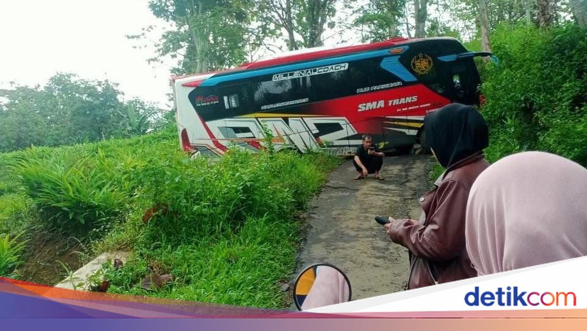 Detik-detik Bus Peziarah Nyasar Masuk Hutan gegara Google Maps