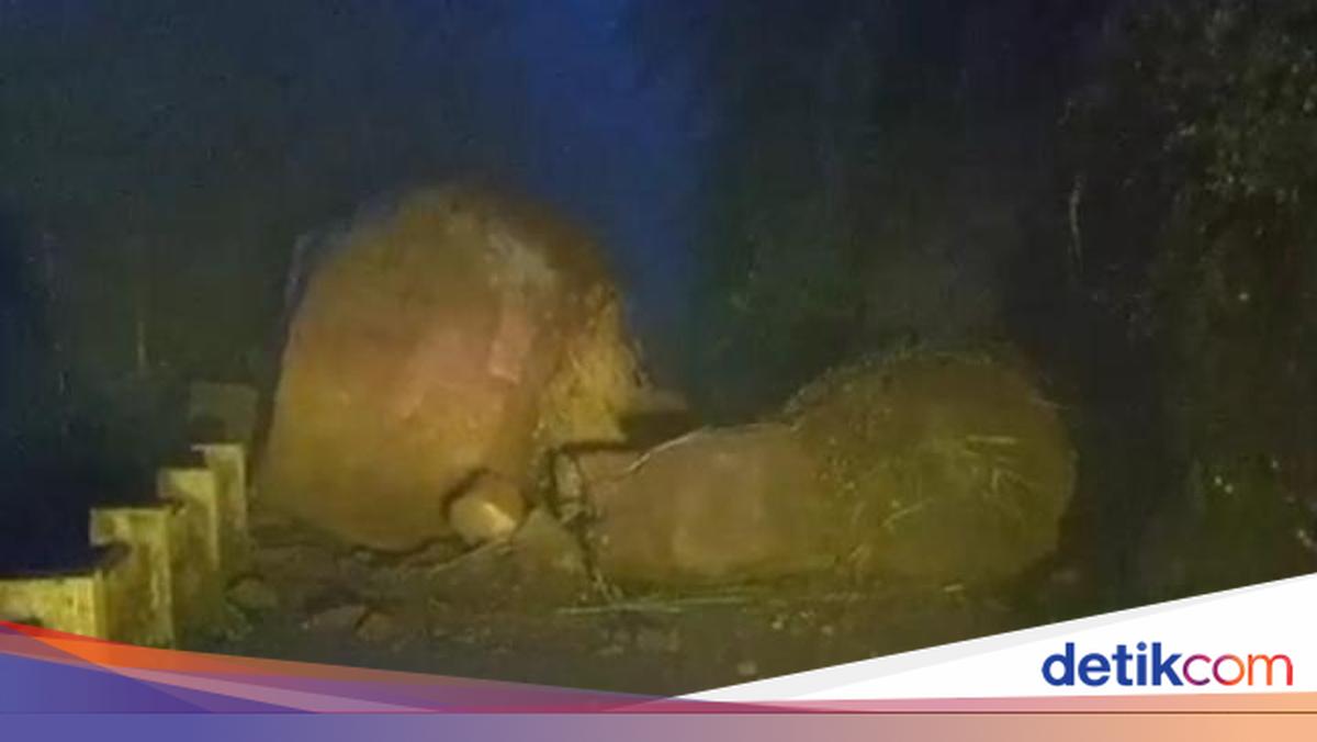 Jalan di Lereng Merbabu Boyolali Tertutup Batu Besar akibat Longsor