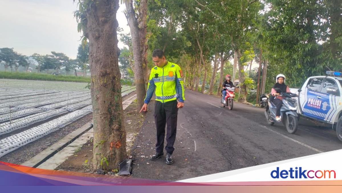 Pemotor NMax Tewas Usai Tabrak Pohon di Kulon Progo