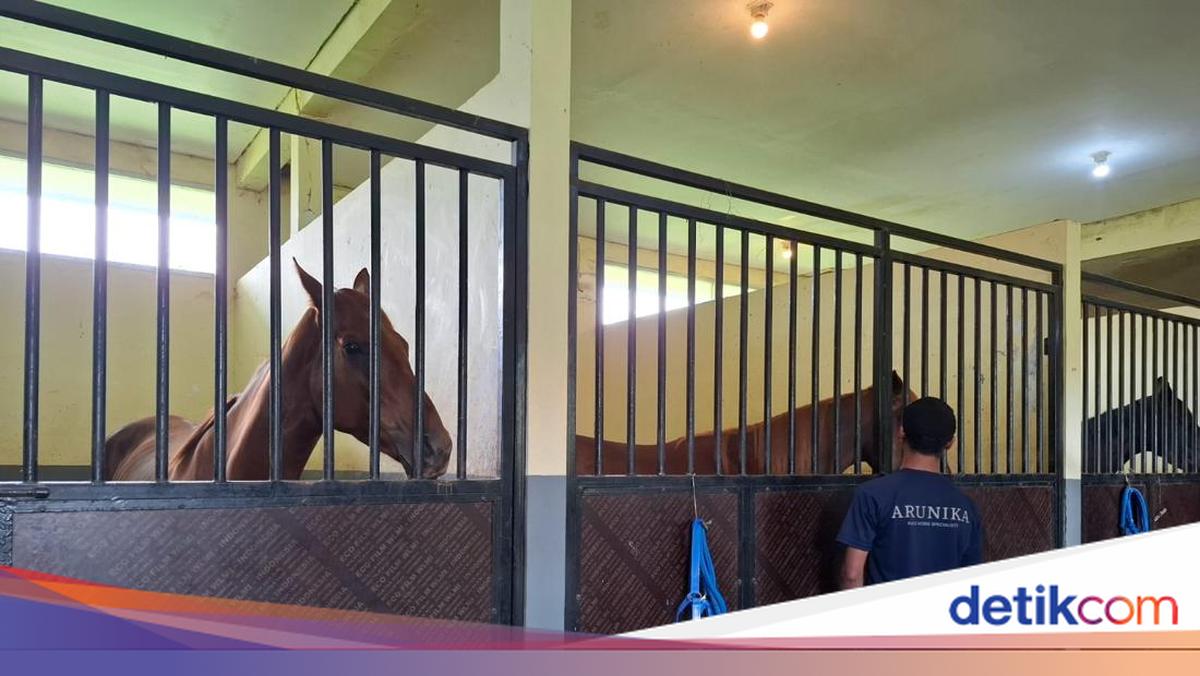 Biaya Karantina di RI Disebut Mahal, Begini Penjelasan Barantin