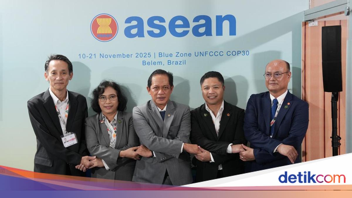 Indonesia Ajak Kementerian LH ASEAN Kolaborasi Terkait Perdagangan Karbon
