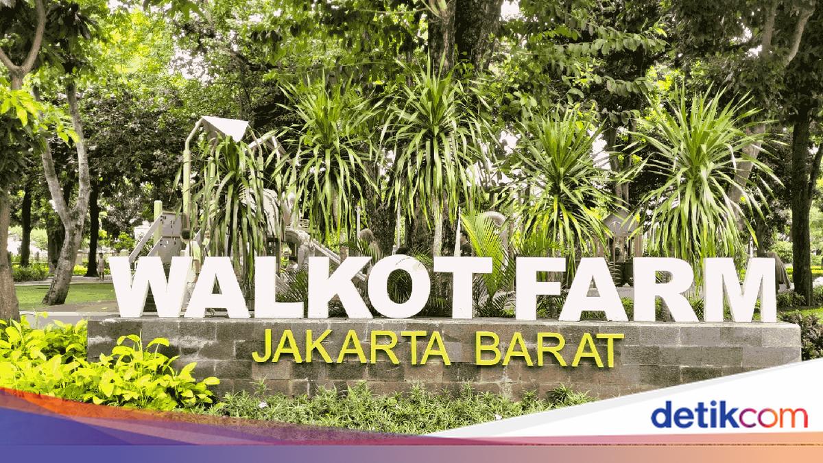 Walkot Farm 4.0, Taman Asri di Tengah Kantor Wali Kota