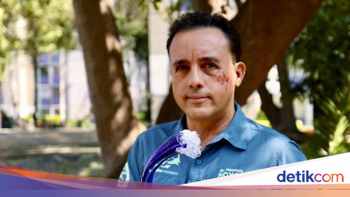 Kesaksian Ngeri Peneliti Saat Kepalanya Digigit Hiu