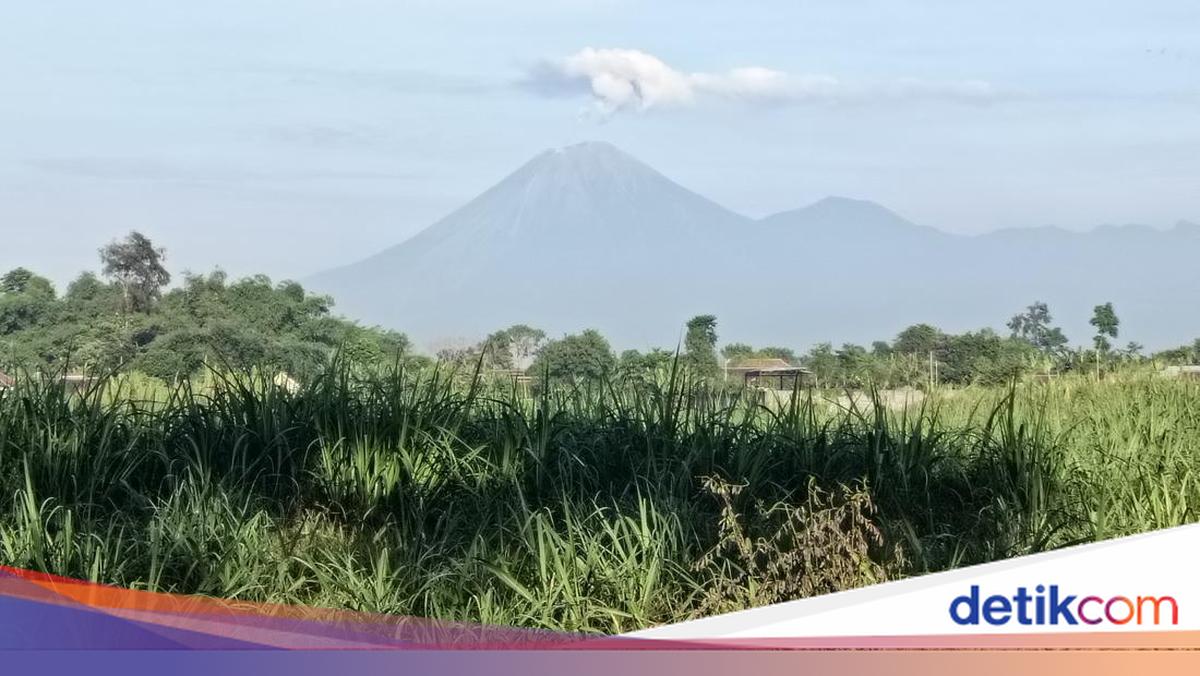 Semeru Erupsi, Seratusan Pendaki Bertahan di Ranu Kumbolo