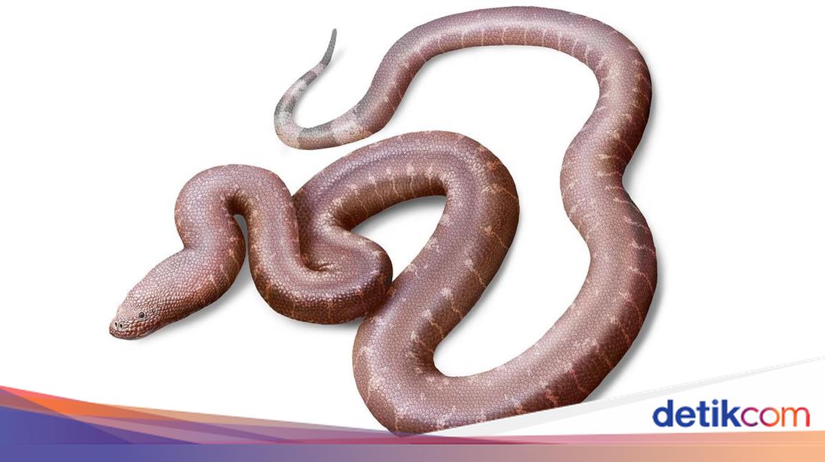 Spesies Aneh Ular Kuno Ditemukan di Inggris