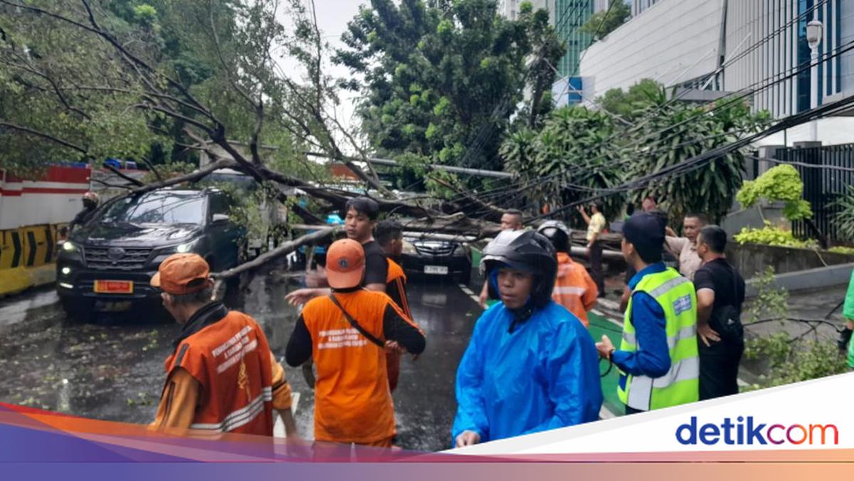 Pohon Tumbang di Jl DI Panjaitan Cawang, Lalin Macet