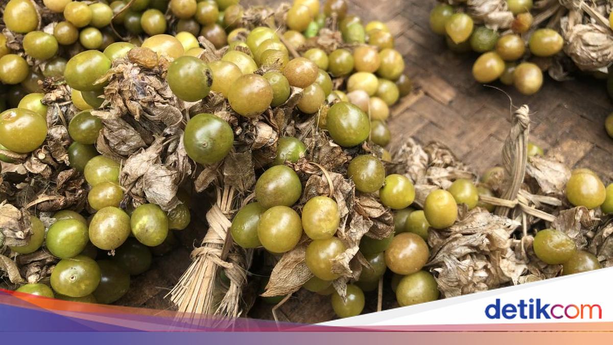 Berburu Buah Ceplukan di Beringharjo Jogja, Konon Punya Banyak Khasiat