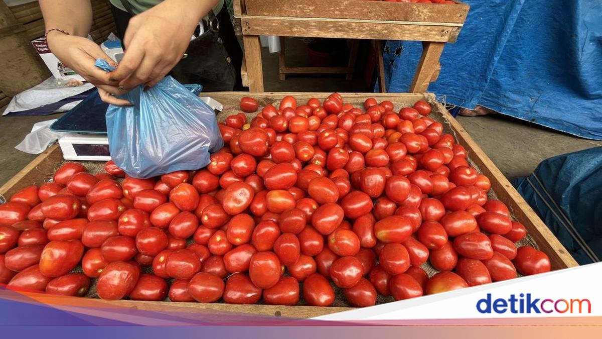 Harga Tomat di Sumut Anjlok, Dijual Cuma Rp 4.000/Kg
