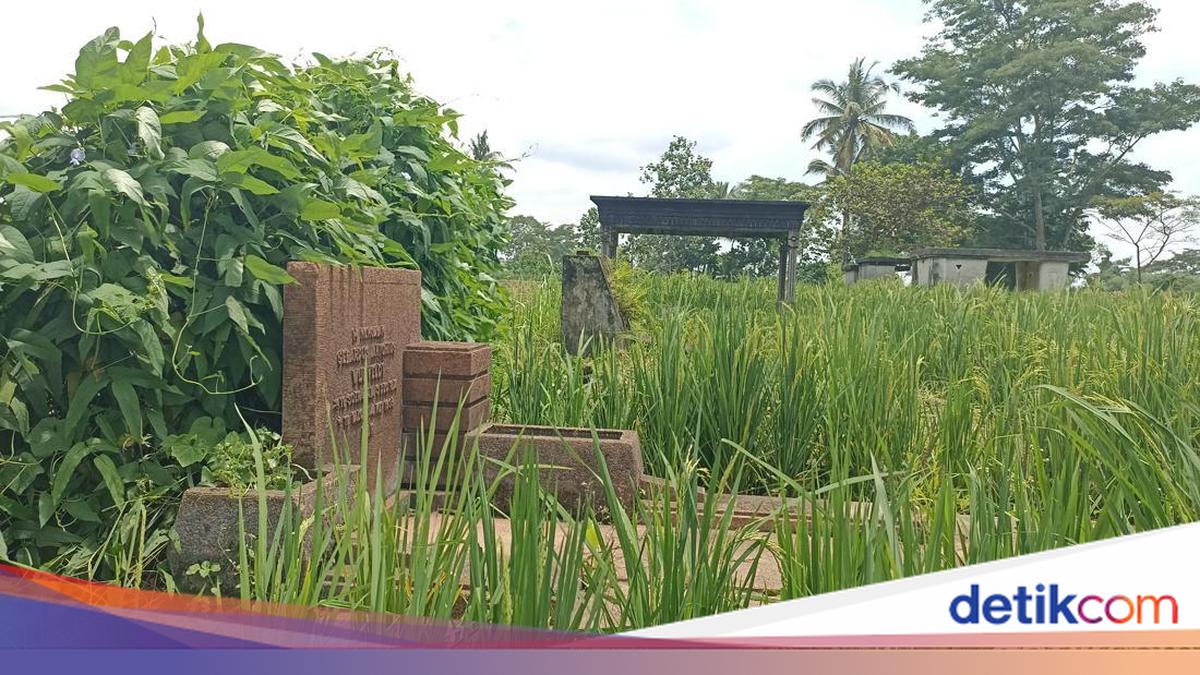 Menengok Makam Belanda Alias Bong Londo di Blitar yang Kini Jadi Sawah