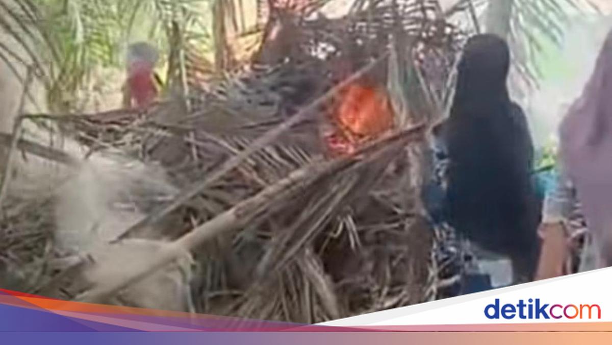 Viral Emak-Emak Perwiritan Bakar Gubuk Narkoba di Langkat, Bong Sabu ...