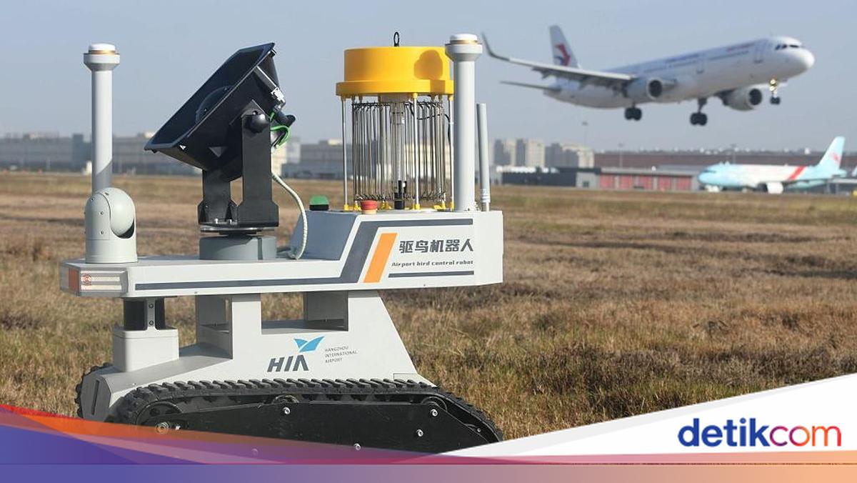 Tingkatkan Keamanan Landasan, Bandara Hangzhou Gunakan Robot Pengusir ...