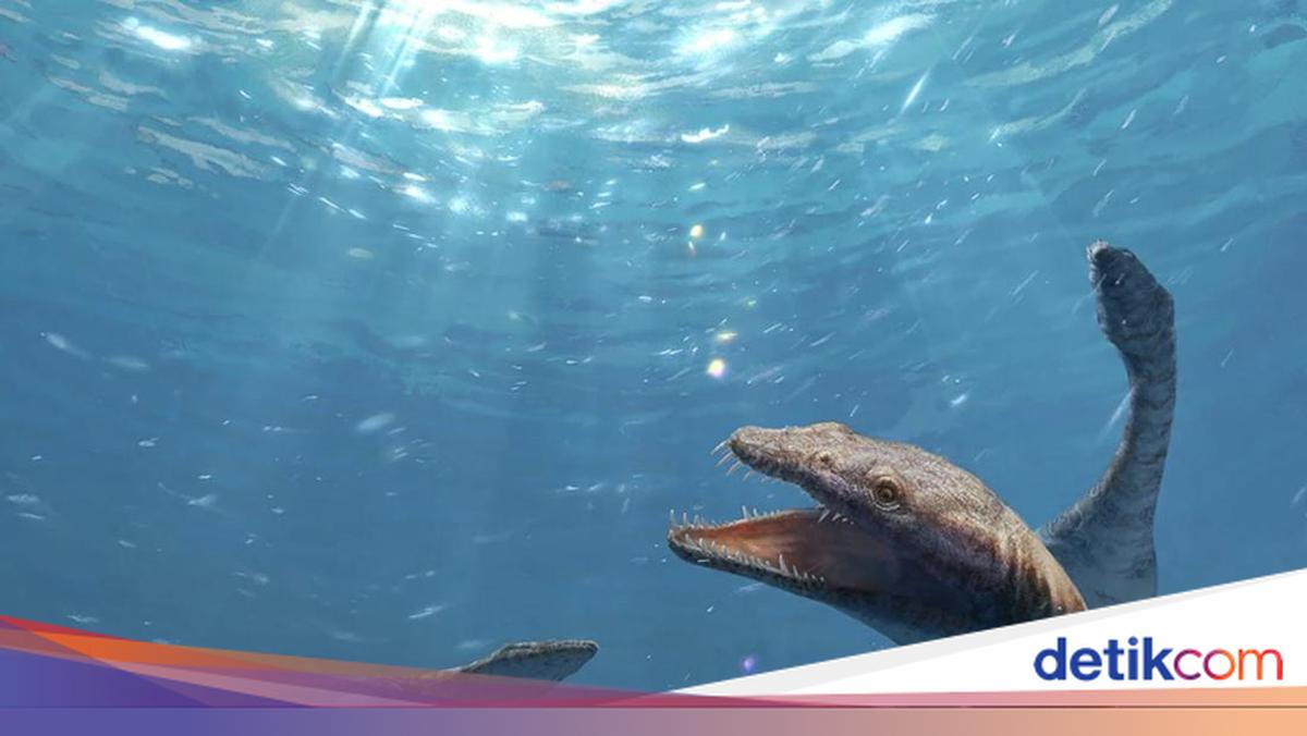 Ilmuwan Temukan Reptil Laut Purba dari 240 Juta Tahun Lalu, Seperti Ini ...