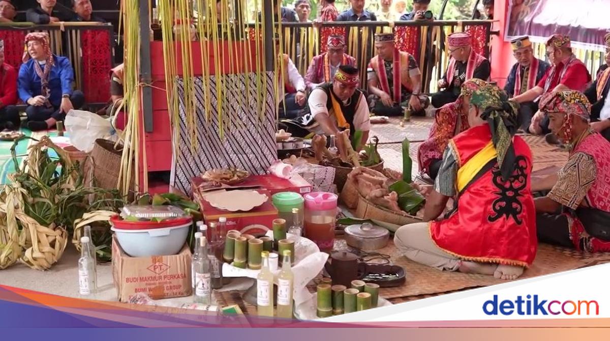 Tradisi Nosu Minu Podi di Sanggau: Asal-usul dan Prosesinya