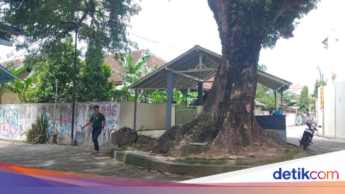 Misteri Kuburan Panjang di Bawah Pohon Kepuh Tua Delanggu Klaten