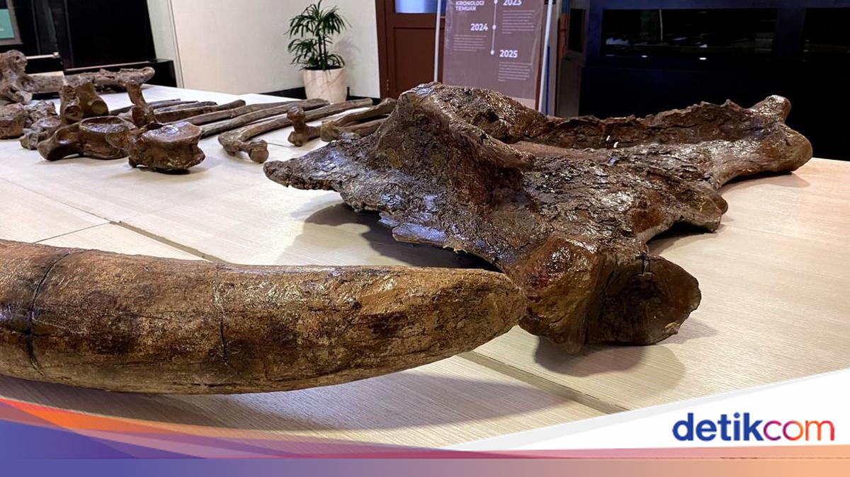 Tak Hanya Stegodon, Kehidupan Purba di Nganjuk Juga Akan Digali Peneliti