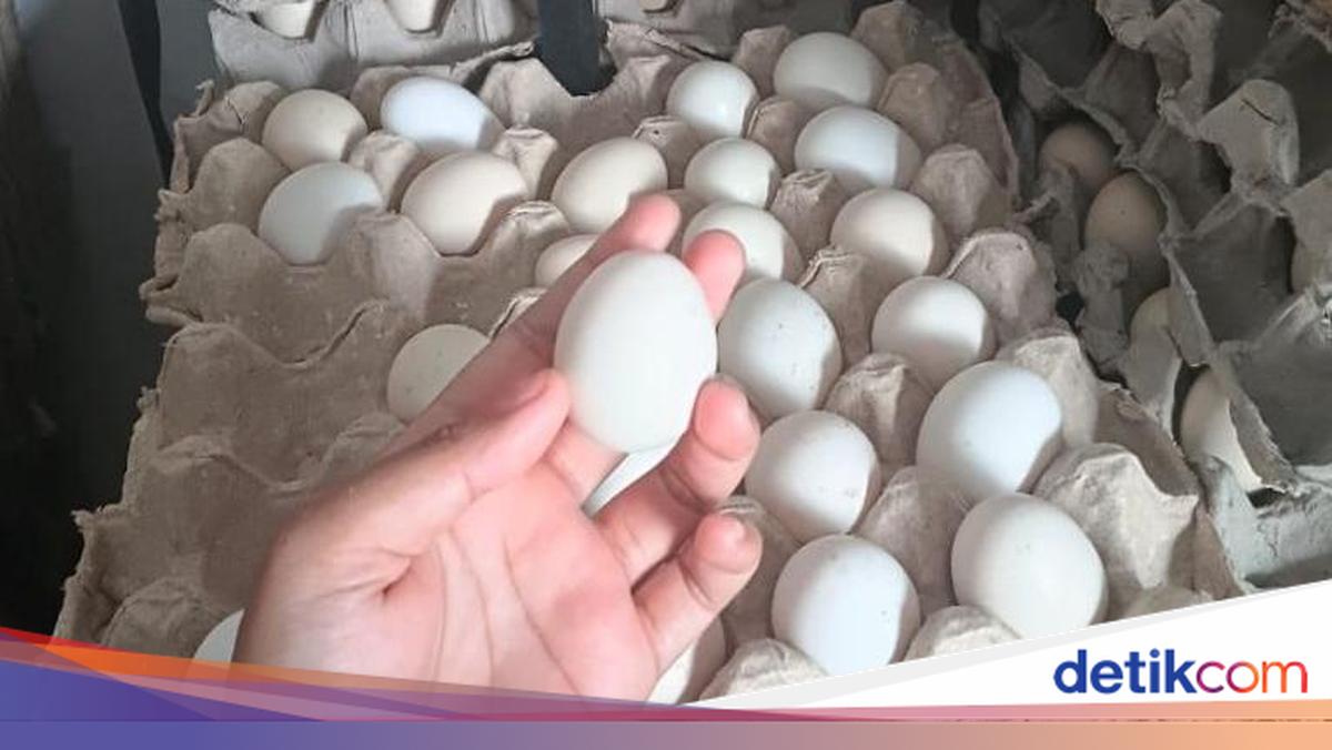 Mitos atau Fakta, Telur Tembean Bisa Tingkatkan Peluang Hamil?