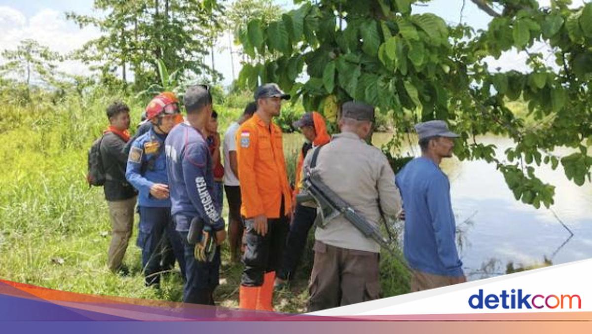 Niat Cari Keluarga yang Hilang di Empang, 2 Pria di Luwu Malah Diterkam ...