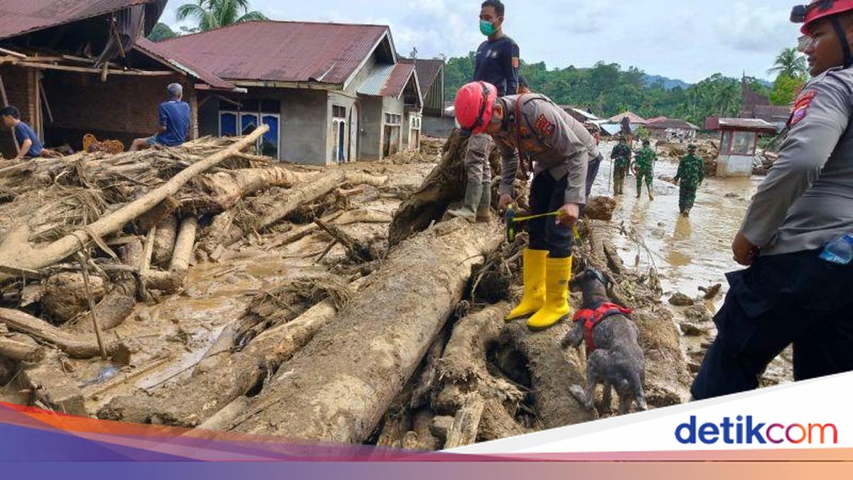 Korban Meninggal Akibat Bencana di Agam 120 Orang, 74 Masih dalam Pencarian