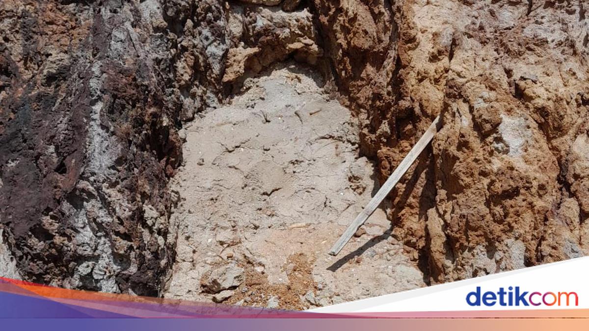 KPK Ungkit Tambang Emas Ilegal di Sekitar TN Komodo, ESDM: Ada Bukaan Lahan