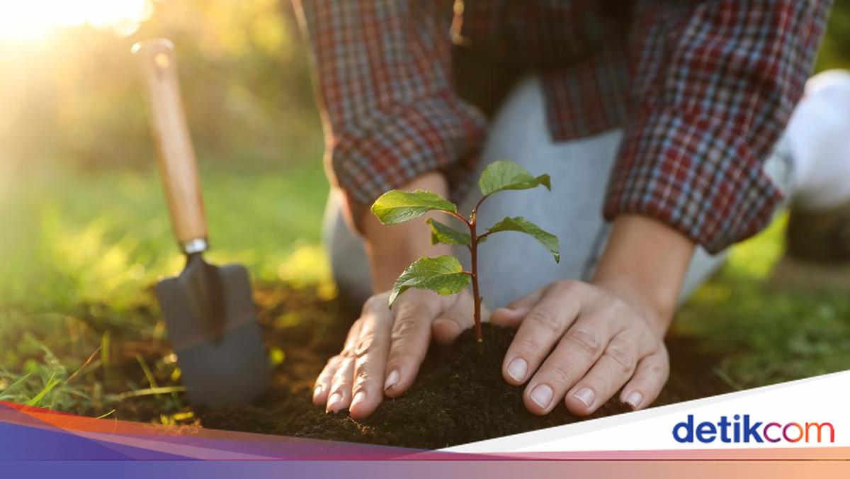Kalender Jawa Minggu Legi 4 Januari 2026: Sumur Sinaba
