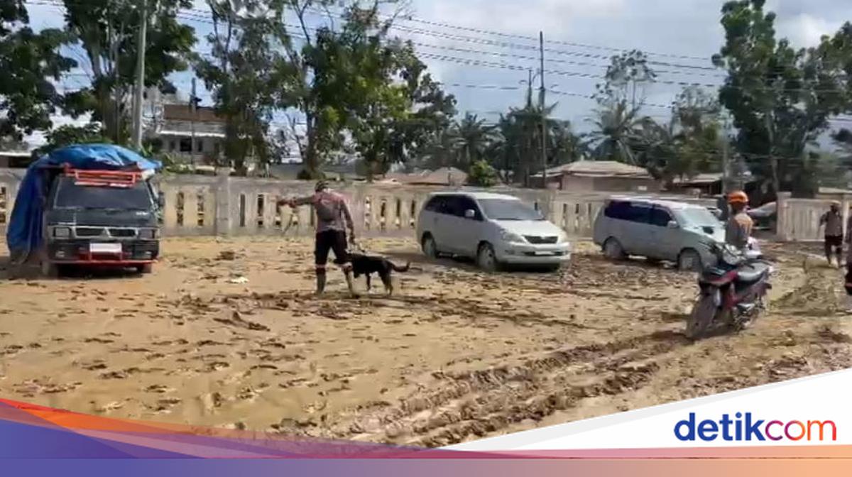 Polisi Kerahkan Anjing Pelacak Cari Korban Bencana di Aceh Tamiang