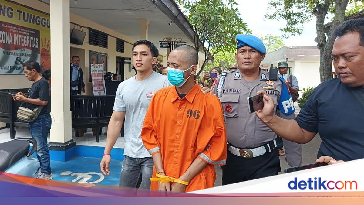 Pria Jembrana Dibekuk gegara Tanam Ganja Dalam Rumah, Bibit Beli dari ...