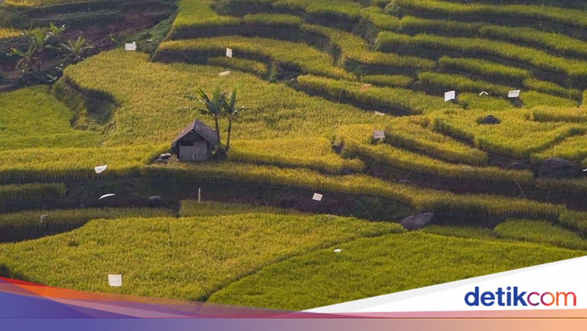 Famtrip Malasari 2025 Hadirkan Pesona Wisata Alam & Budaya Desa Malasari