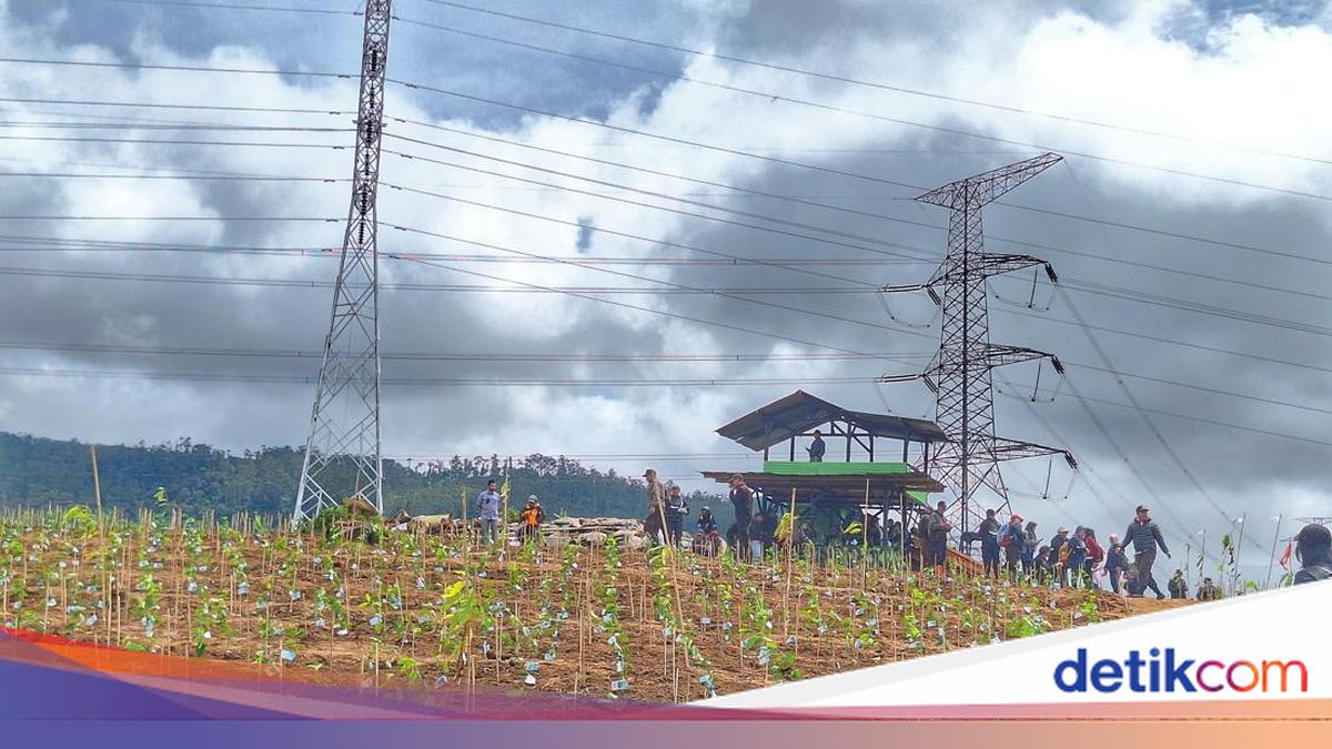 TNI Bangun Pos Pantau Antisipasi Perusakan Kebun Teh Pangalengan