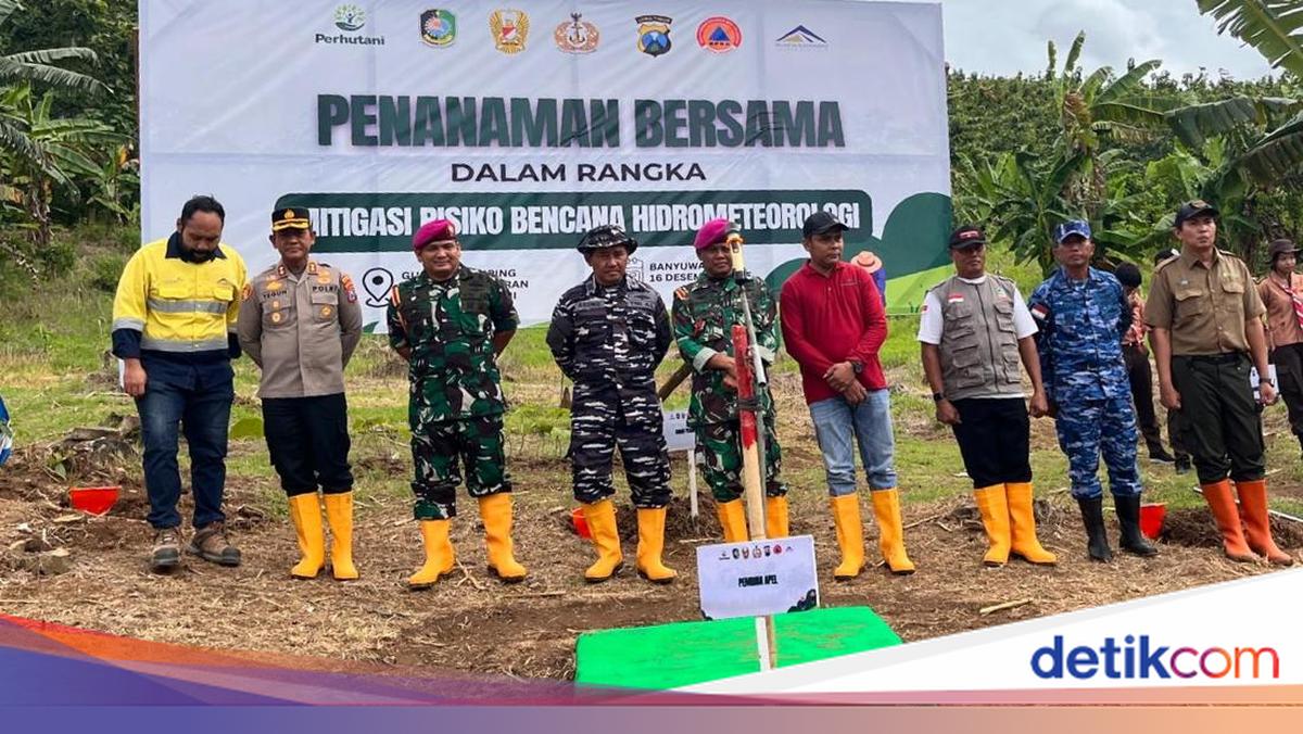 Cegah Bencana, Perhutani hingga PT BSI Tanam 5.500 Bibit di Banyuwangi
