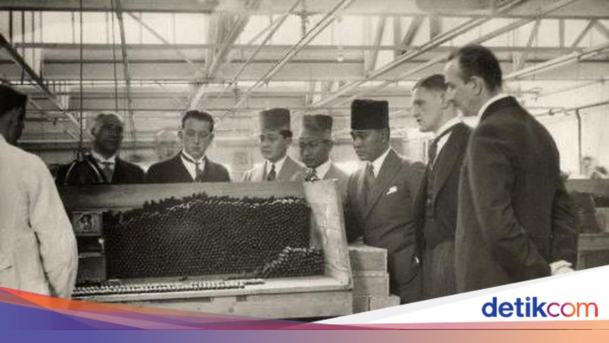 Tembakau Deli: Warisan yang Membesarkan Medan, Kini Tinggal Cerita