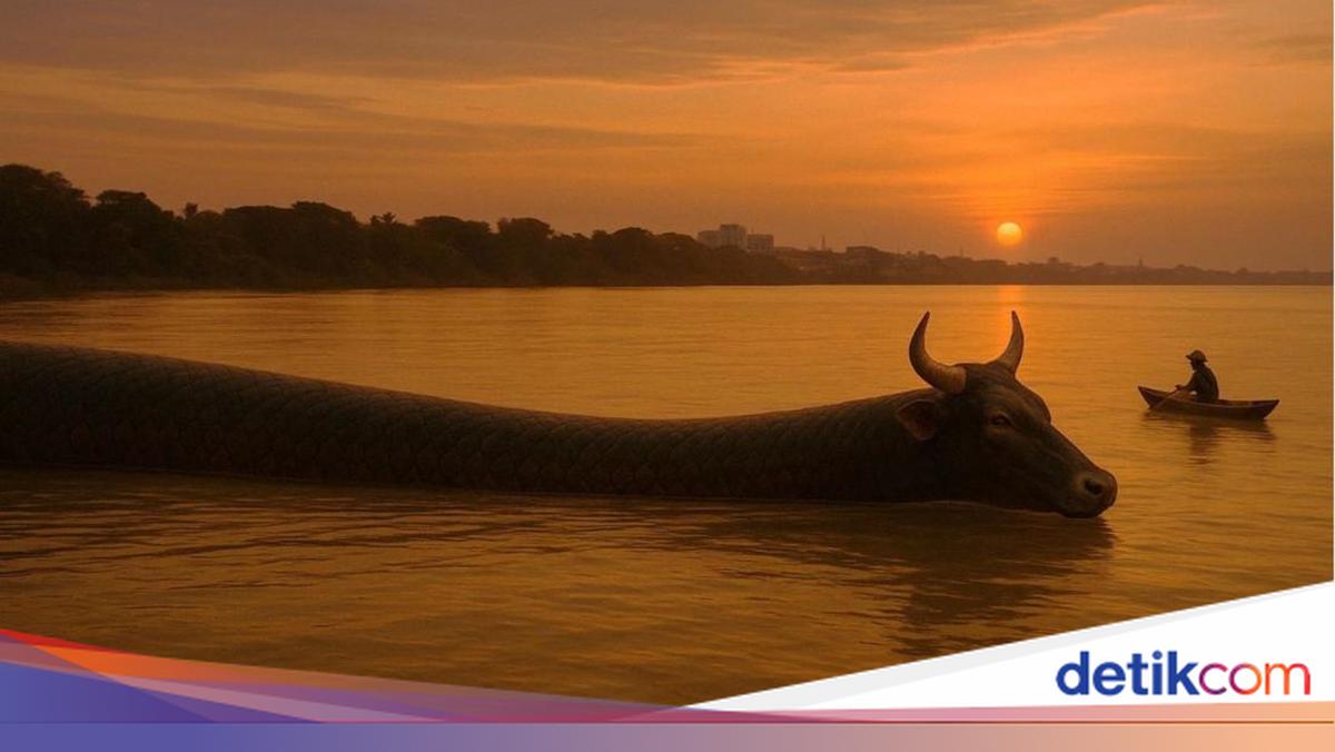 Cerita Warga Mahakam Soal Ular Lembu: Perahu Ditarik-Arus Jadi Berat
