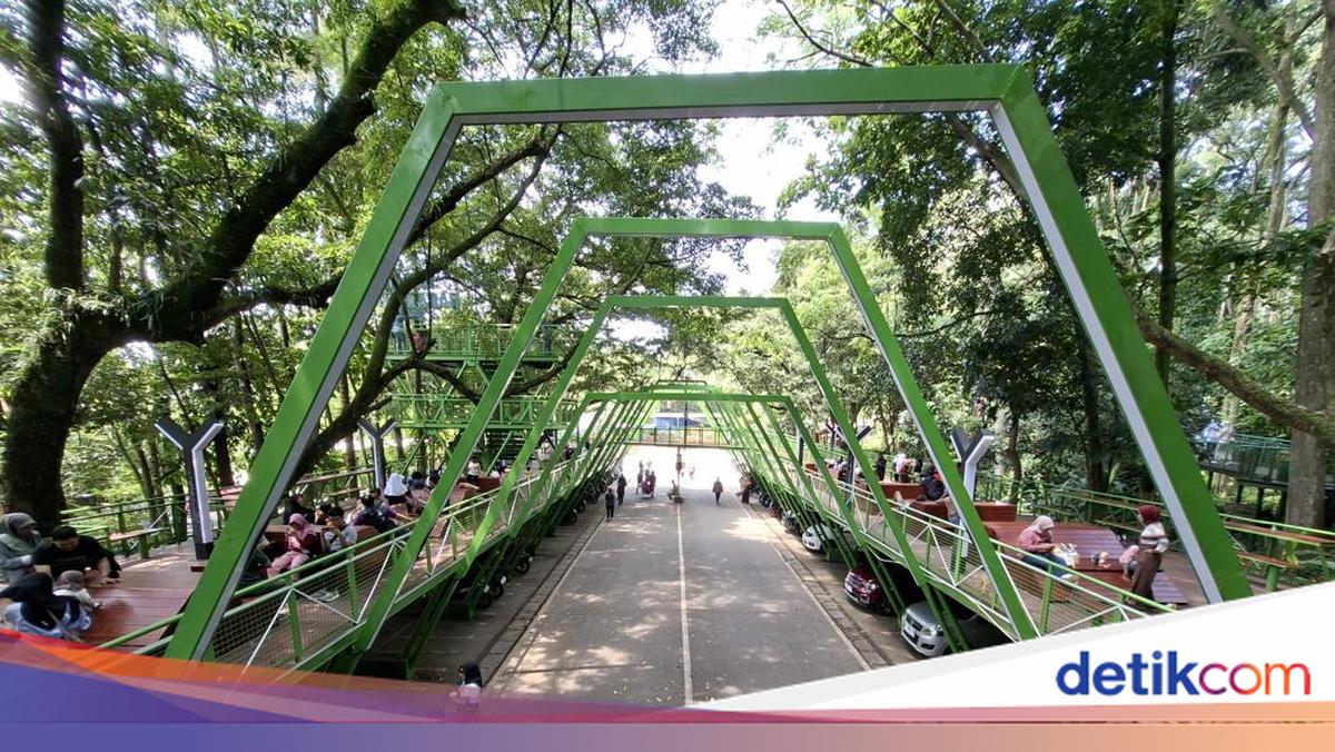 Liburan Murah Meriah di Hutan Kota Babakan Siliwangi Bandung