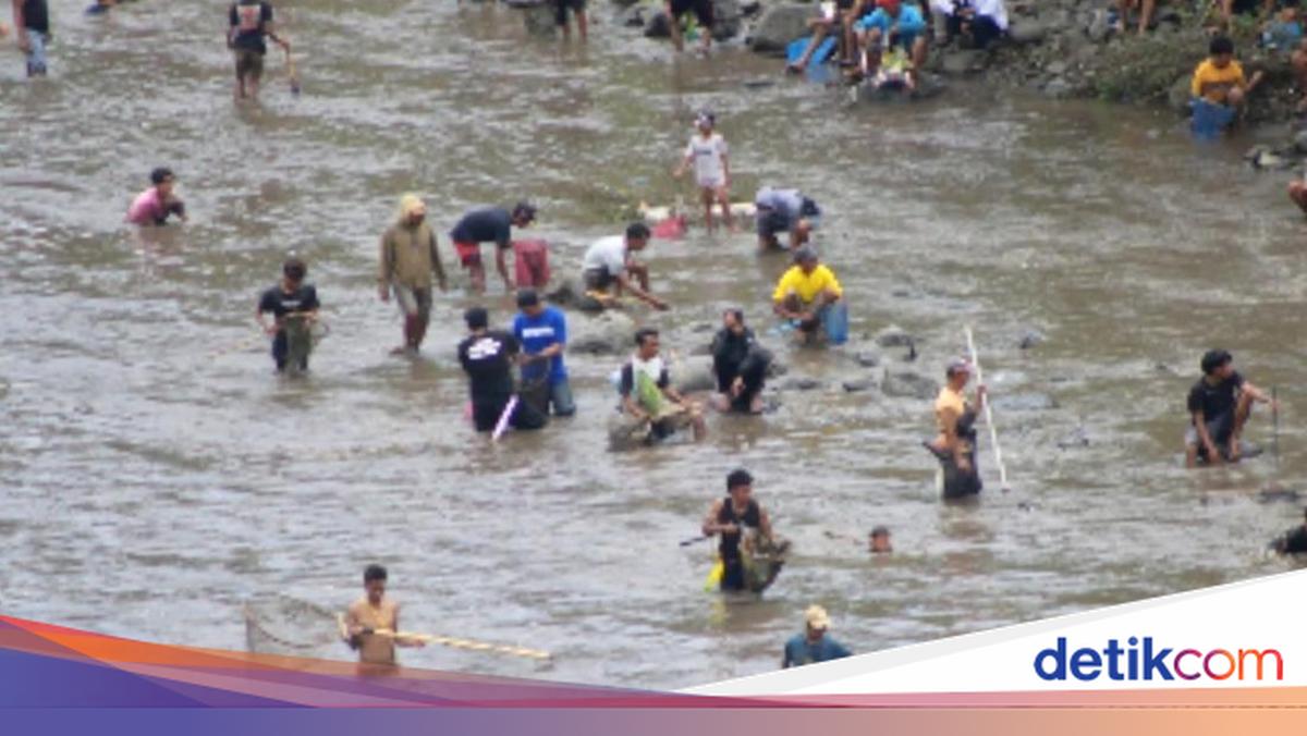 Asatan Bendungan Sampean Baru, Warga Berburu Ikan Saat Debit Air Turun